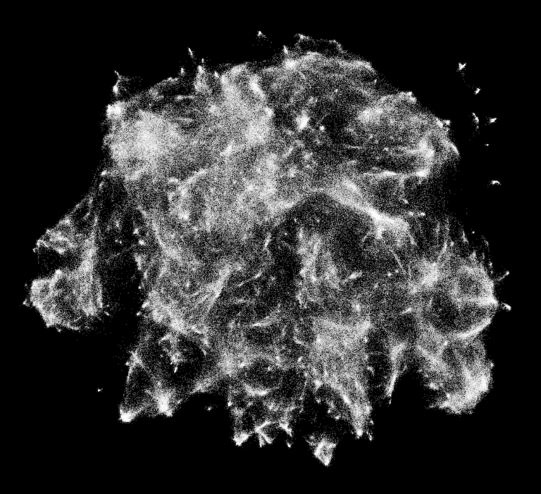 Using llamafiles for Embeddings in Local RAG Applications - Mozilla Builders